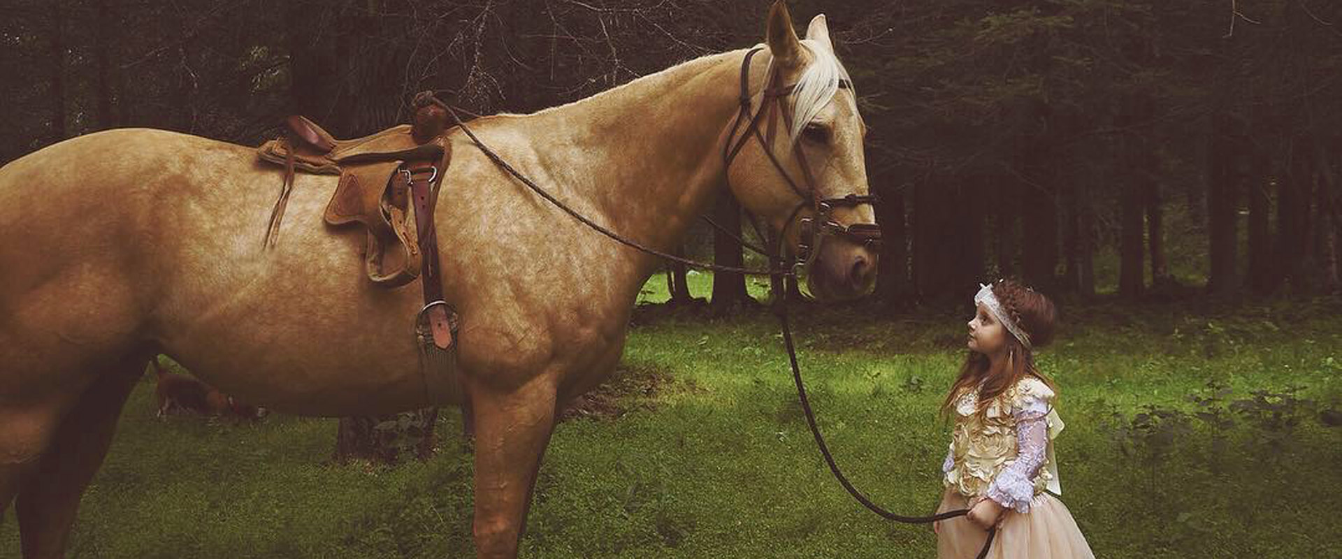 Sunderland Guest Ranch - Alaska Horseback Rides - Trail Rides Alaska